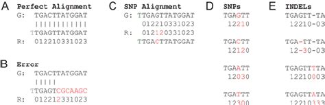 various mutation and error events and their effects on the color code