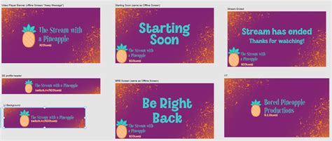 The Stream With A Pineapple Branding