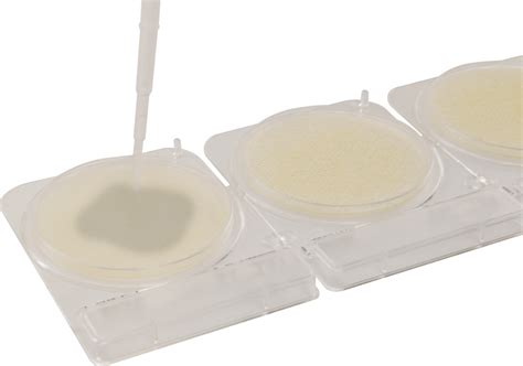 Môi Trường Vi Sinh Compact Dry Labcare