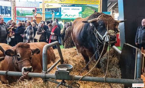 Album Photos Salon De L Agriculture 2023