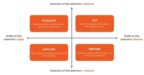 Concentration A Key To Mental Preparation Equisense Blog