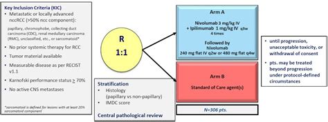 Esmo 2024 Non Clear Cell Rcc
