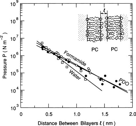 Disjoining Pressure P Of Pc Bilayers As A Function Of The Mean Download Scientific Diagram