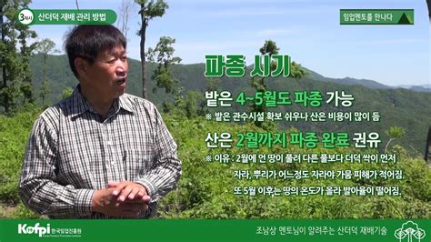 [산더덕3] 산더덕 재배 관리 방법 Youtube