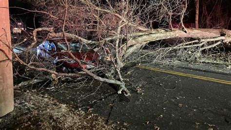 Driver Escapes Injury As Tree Crashes Onto Car In Shrewsbury