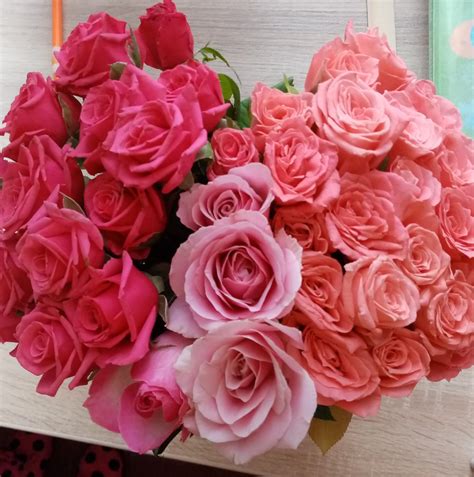 ეს არის აბრაკადაბრა აქციით 8 ლარი 551523110 By ხვიჩა და მანანას ვარდები კეხიჯვარში ძამის ხეობა