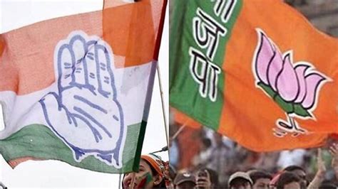Haryana Election 2024 Tigaon Assembly Election Seat Bjp Rajesh Nagar