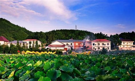 【城乡环境综合整治】芦溪县：众志成城 扮靓美丽家园