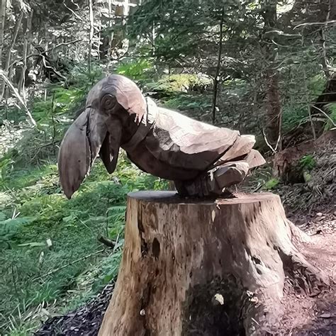 Hexenwasser Söll Waldvielfalt