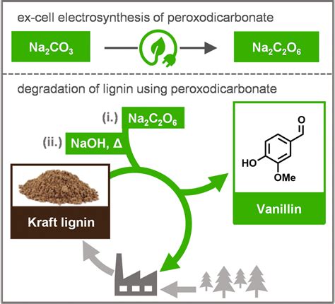 Vanillin From Kraft Lignin Mirage News
