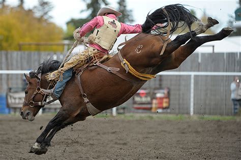 Something For Everyone At 2016 Guy Weadick Days