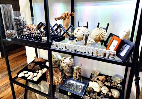 Collection Update Summer 2022 2 Yrs R FossilPorn