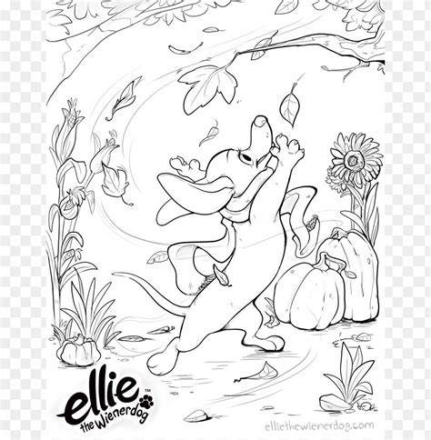 Free Download Hd Png Fall Colors Coloring Sheet Png Transparent With Clear Background Id