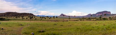 Viajar para a Chapada dos Veadeiros Tudo o que você precisa