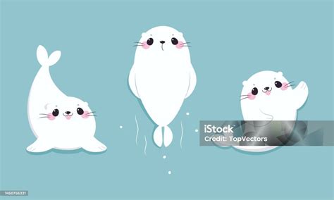 파란색 배경 벡터 세트에 흰색 모피와 분홍색 뺨을 가진 귀여운 물개 귀여운에 대한 스톡 벡터 아트 및 기타 이미지 귀여운