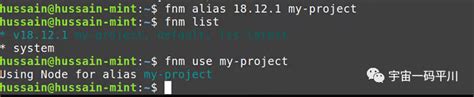 Fnm Node Js Csdn