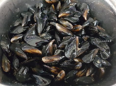홍합으로 이런맛 처음이야 홍합무국