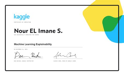 Nour El Imane S Completed The Machine Learning Explainability Course