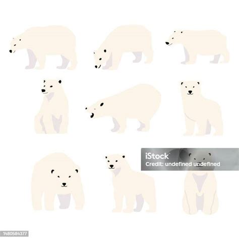 북극곰 재미있는 캐릭터 만화 세트 겨울에 대한 스톡 벡터 아트 및 기타 이미지 겨울 곰 귀여운 Istock