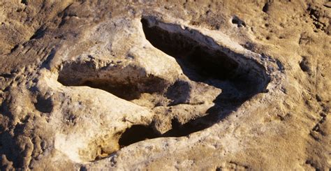 Sequía Revela Huellas De Dinosaurios De Hace Más De 100 Millones De Años