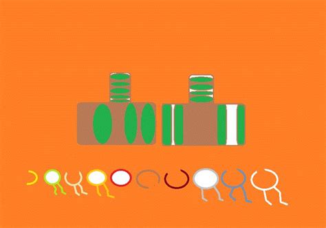 Enhance Your Design With Interactive Interface Evaluation