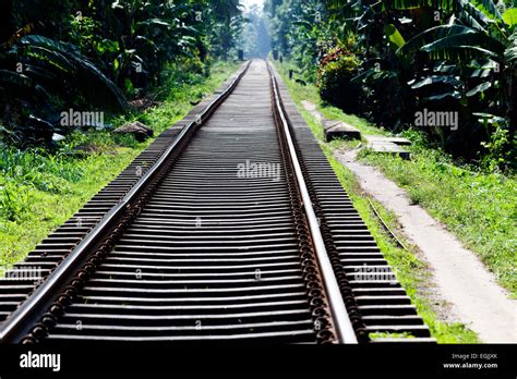 Railway Tracks In Jungle Hi Res Stock Photography And Images Alamy