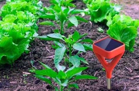 Iot Revolutionizing Agriculture And Farming