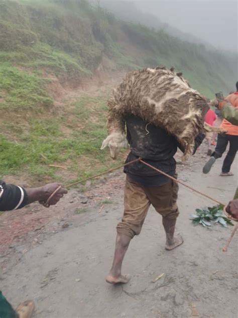 Burera Umugabo Afunze Akekwaho Gusambanya Intama Kigali Today
