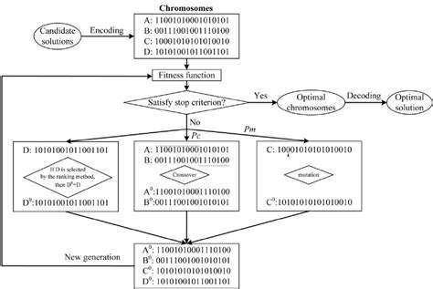 The Selection Crossover And Mutation Operations Here A B C And D