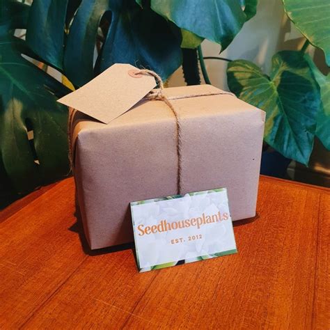 Magnetic Tiny Terracotta Pot Succulent Favours Sustainable Small Eco