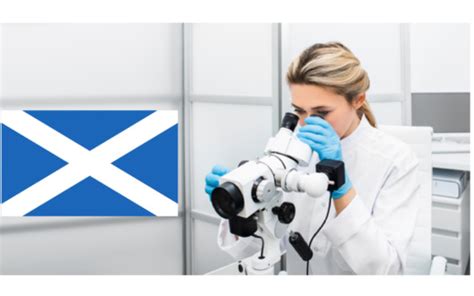 Bsccp Bsccp Video Player