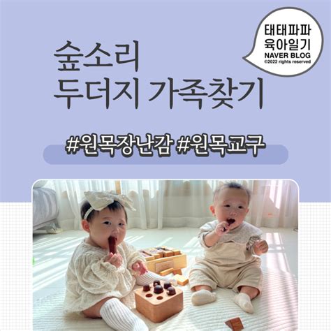 숲소리 두더지 가족찾기 천연 원목 교구 장난감 네이버 블로그