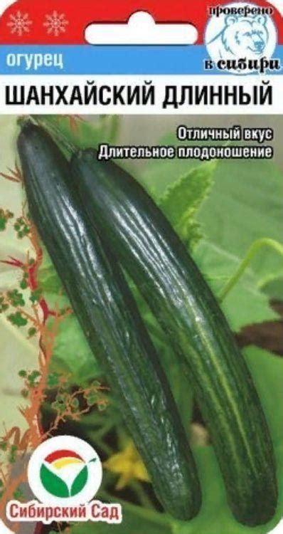 Золотая сотка алтая