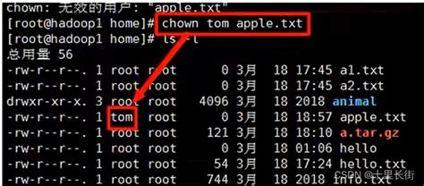 Linux 组管理和权限管理 Csdn博客