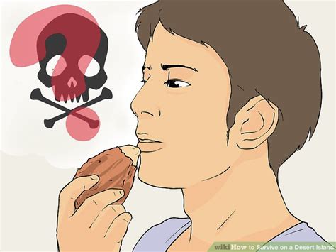3 Ways To Survive On A Desert Island Wikihow
