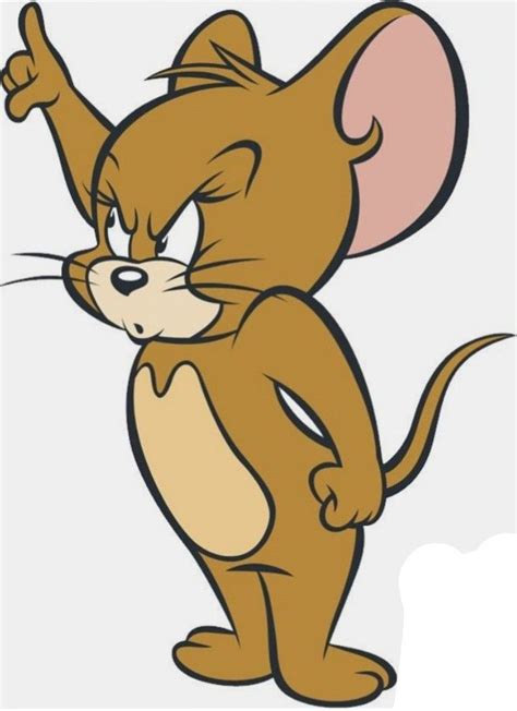 Pin By Miss Rizvi On Cartoons Tom And Jerry Cartoon Tom And Jerry
