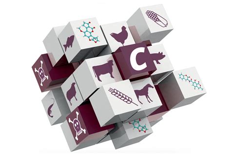 Optimising Mycotoxin Risk Management In Feed All About Feed