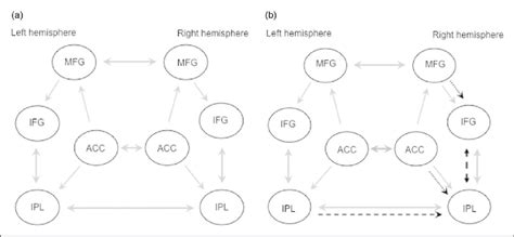 A Cognitive Model Of Working Memory Used For Dynamic Causal Modeling