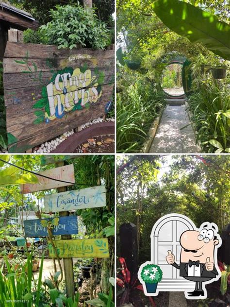 Top 7 Cafes In Ormoc October 2025 Restaurant Guru