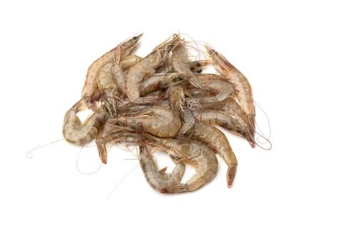 Fresh Raw Shrimp Litopenaeus Vannamei Isolated On White Background With