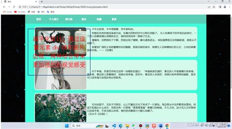 前端网页分享：个人网站html css js（图片轮播） html5 div css js前端网页如何上网浏览文件 csdn博客