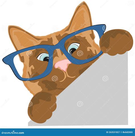 Cute Siamese Cat Stock Illustration Illustration Of House