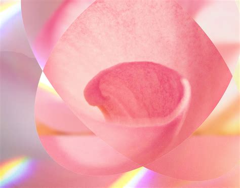 Voice Biometrics A Detailed Walkthrough