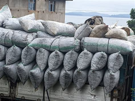 RDC La société civile de protection de l environnement réclame l arrêt des exportations de