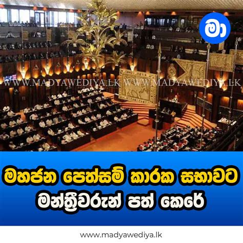 මහජන පෙත්සම් කාරක සභාවට මන්ත්‍රීවරුන් පත් කෙරේ මාධ්‍යවේදියා