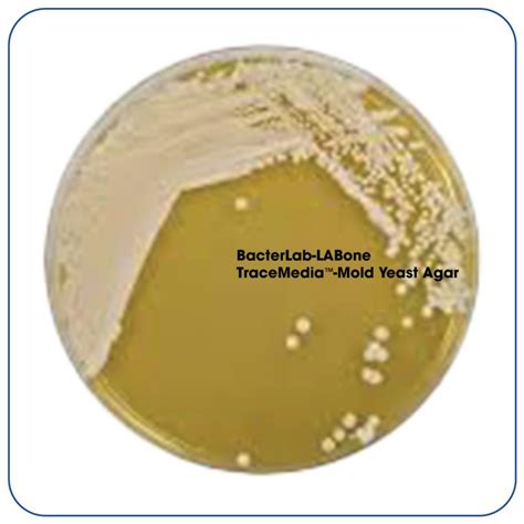 TraceMedia Nutrient Agar LABone Scientific Co Ltd