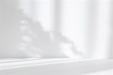 제품 프레젠테이션을 위한 추상적인 흰색 스튜디오 배경입니다 창문과 꽃과 야자수 잎의 그림자빈 방 복사 공간이있는 3d 룸 여름 콘서트 흐린 배경 0명에 대한 스톡 사진 및