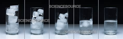 Ice Cubes In Water In A Beaker Condensation Station American