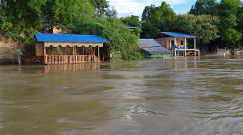 ညောင်ဦးမြို့နယ်တွင် ဧရာဝတီမြစ်ရေမှတ် စိုးရိမ်ရေမှတ်ရောက်ရှိရန် ၅ စင