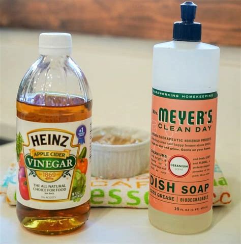 How To Get Rid Of Gnats Naturally · The Typical Mom